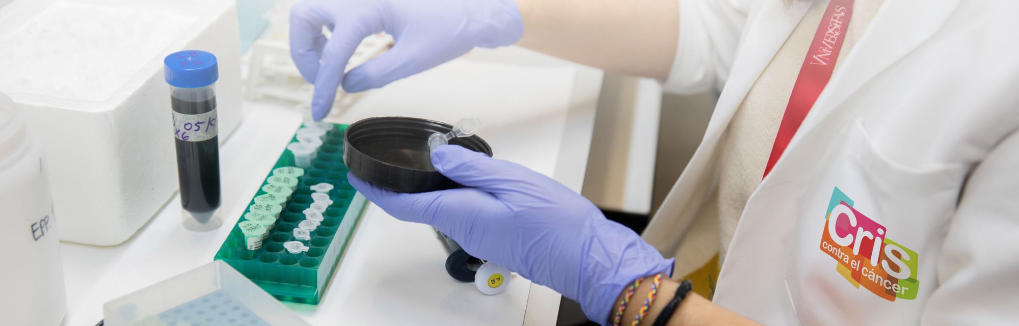 Programa CRIS Fellowships - Cris Contra el Cáncer